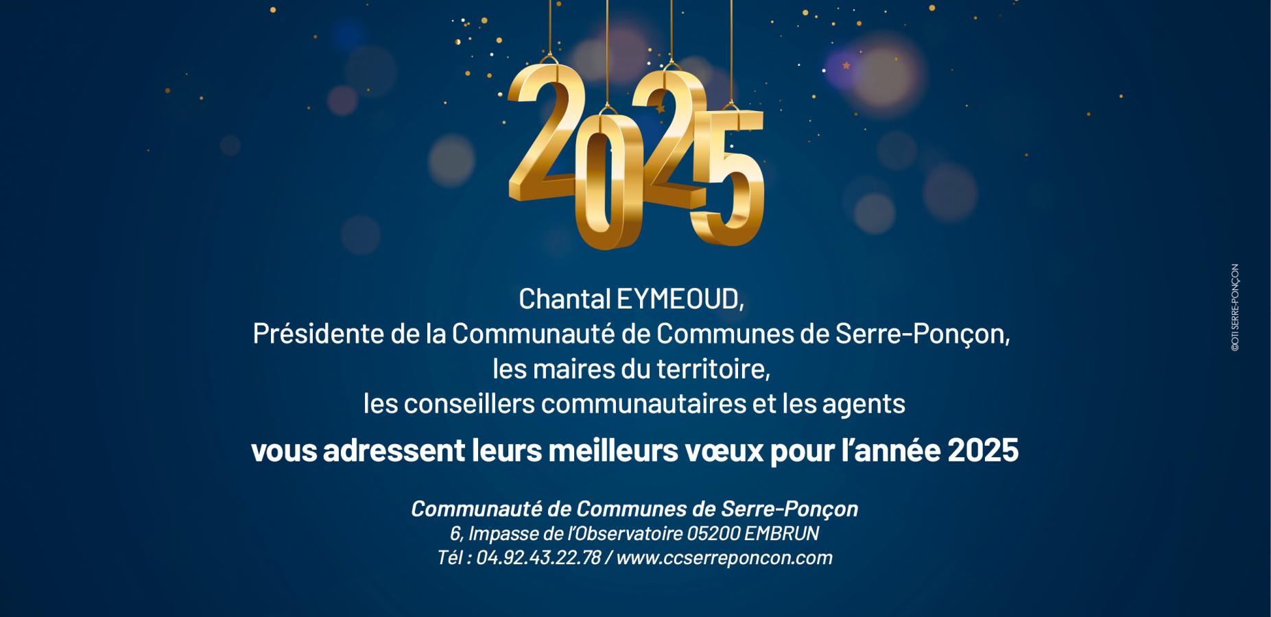 Meilleurs vœux 2025